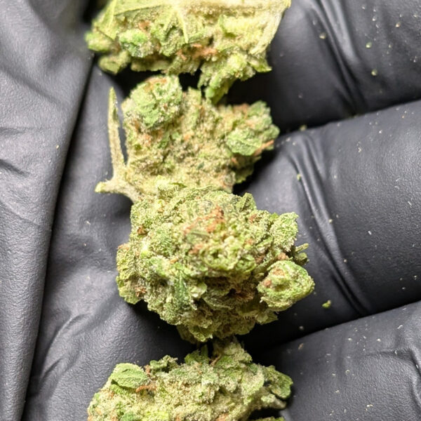 Buy Blue Dream THCA Flower B Buds Online At TWS