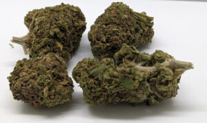 Buy Blue Dream THCA Flower Online At Texas Weed Syndicate