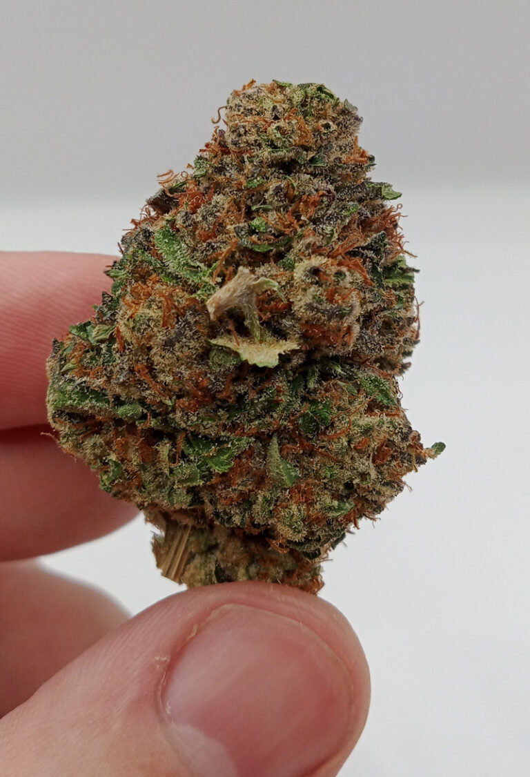 Buy Lemon Cherry Gelato THCA Flower Exotic Sativa 60/40 Strain